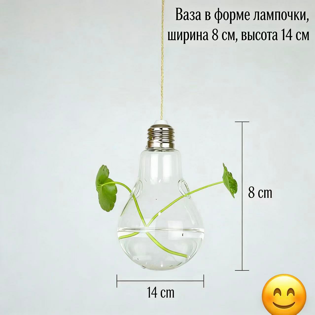 Подвесные стеклянные вазы для гидропоники, ручная работа, декоративные флорариумы, набор из 1штук — фото 1