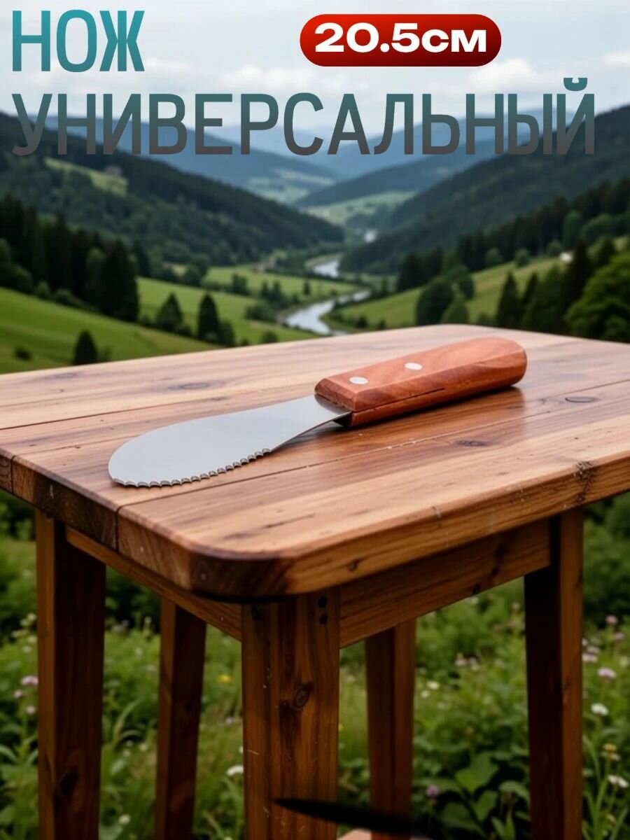 Нож сувенирный модель 2 СВ, общая длина 205 мм, толщина клинка 1мм, вес 43 гр