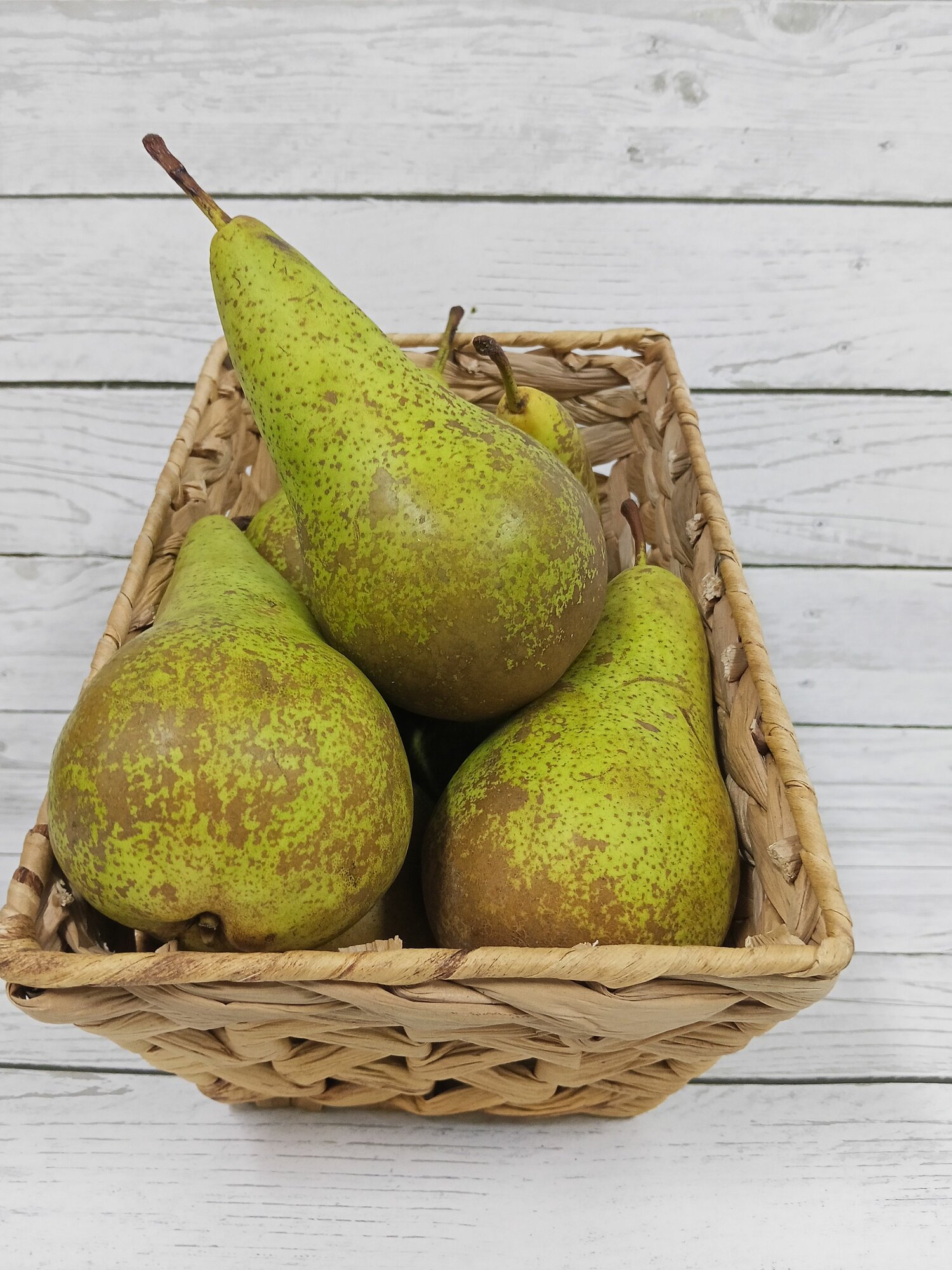 Груши Конференция гигант 500 - 600 гр.