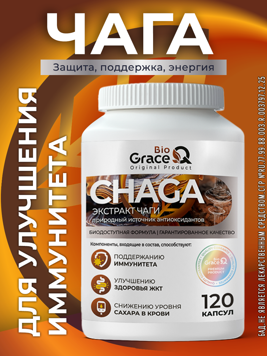 Чага экстракт GraceBioQ / Чага в капсулах для кишечника и детокса / Витамины для ЖКТ, 120 капсул