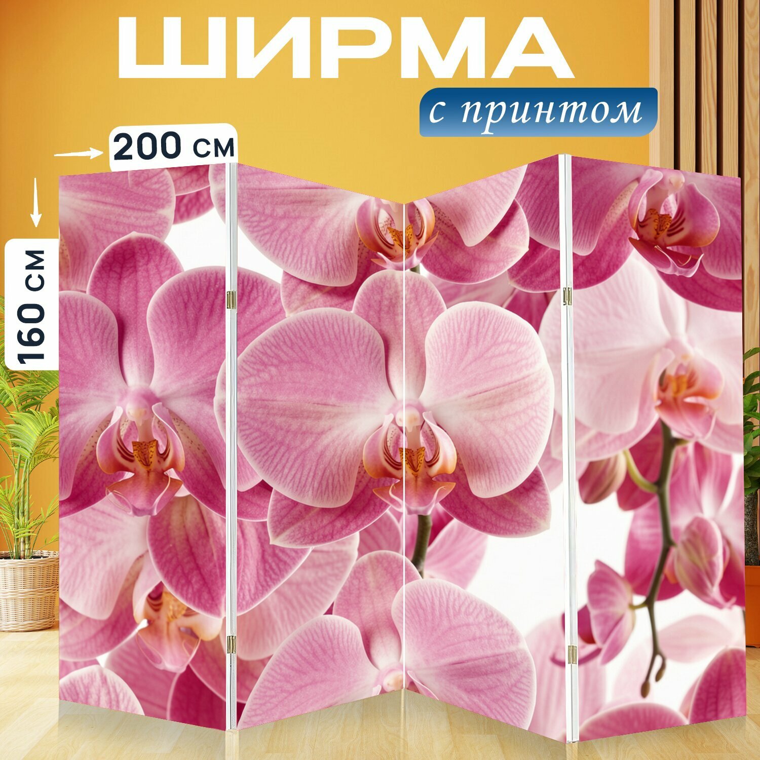 Ширма "Розовые орхидеи крупным планом. Нежные цветы фаленопсиса в мягких оттенках розового и белого." перегородка для зонирования комнаты с принтом 200x160 см. на холсте
