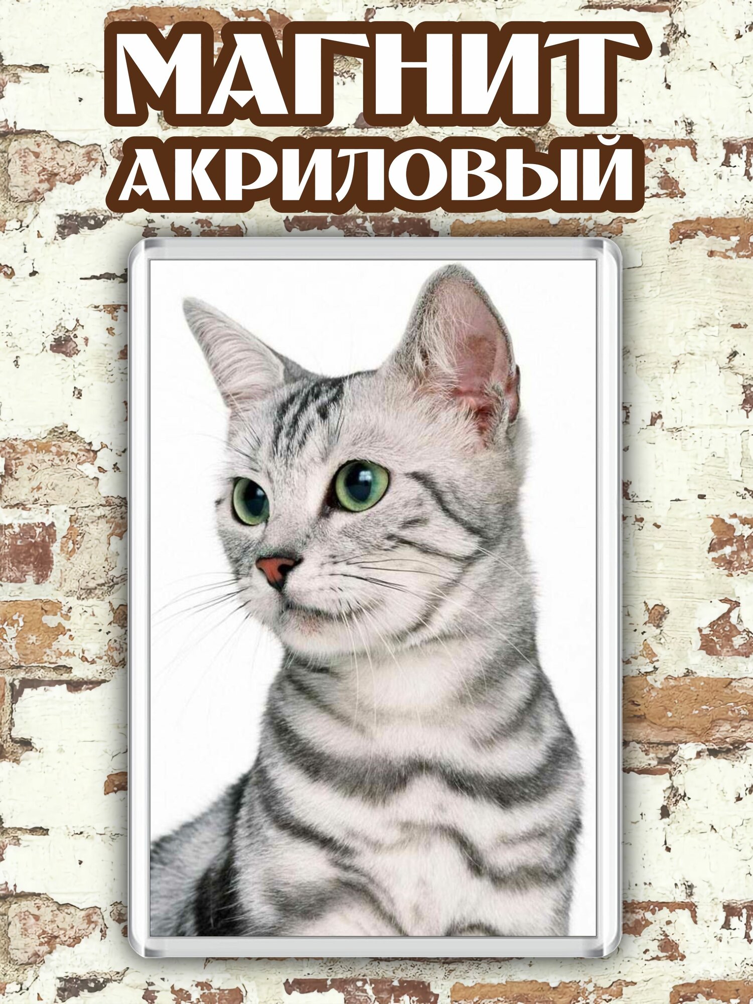 Магнит акриловый "Кот"