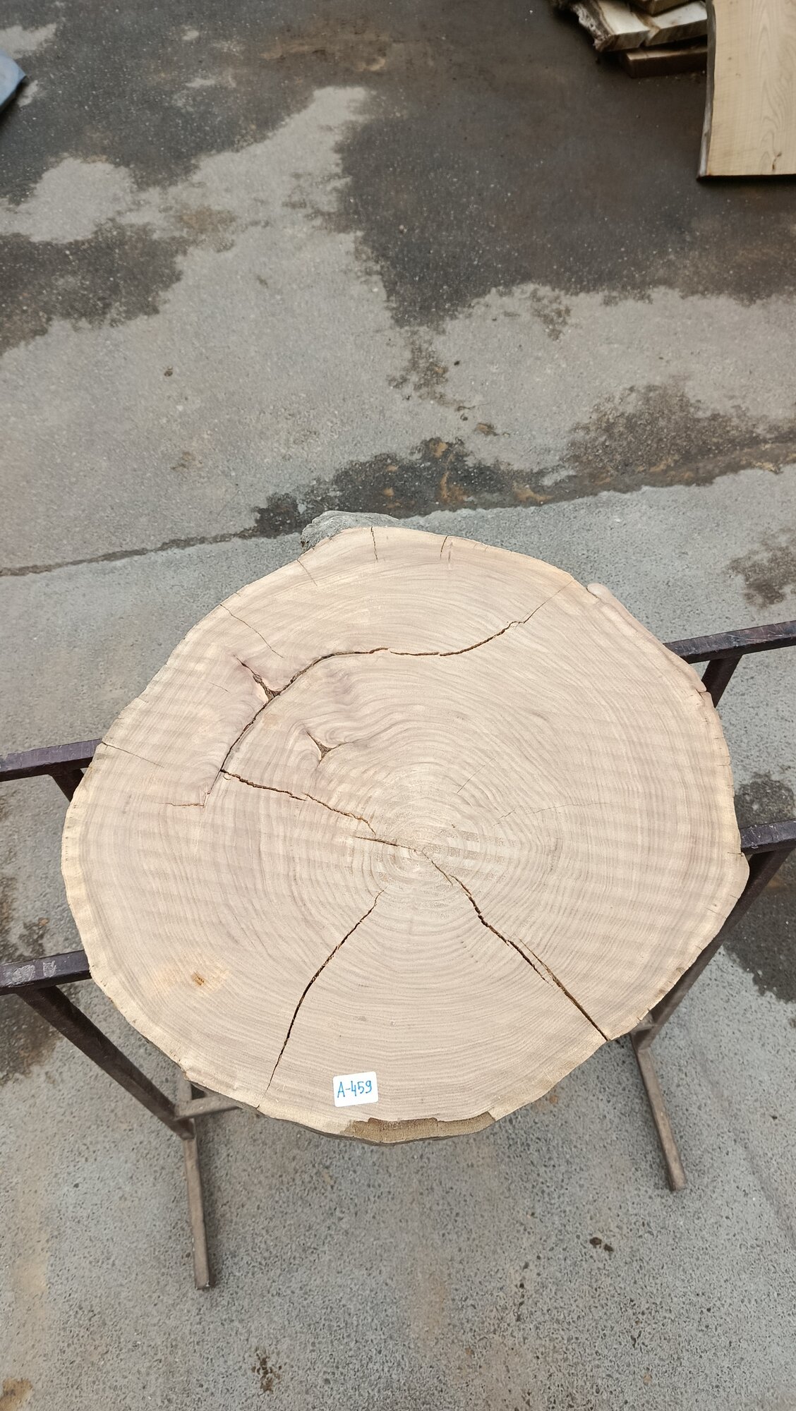 Спил из карагача 57х56х8см (А459) высушенный фрезерован, влажность 8-10%