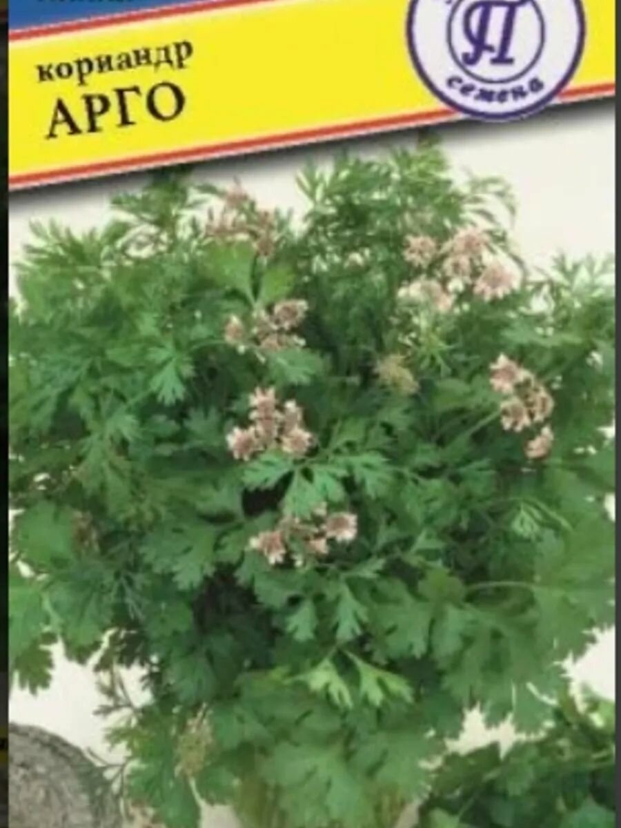 Кинза (Кориандр) Арго, (РС-1) 1 г, Семена Престиж
