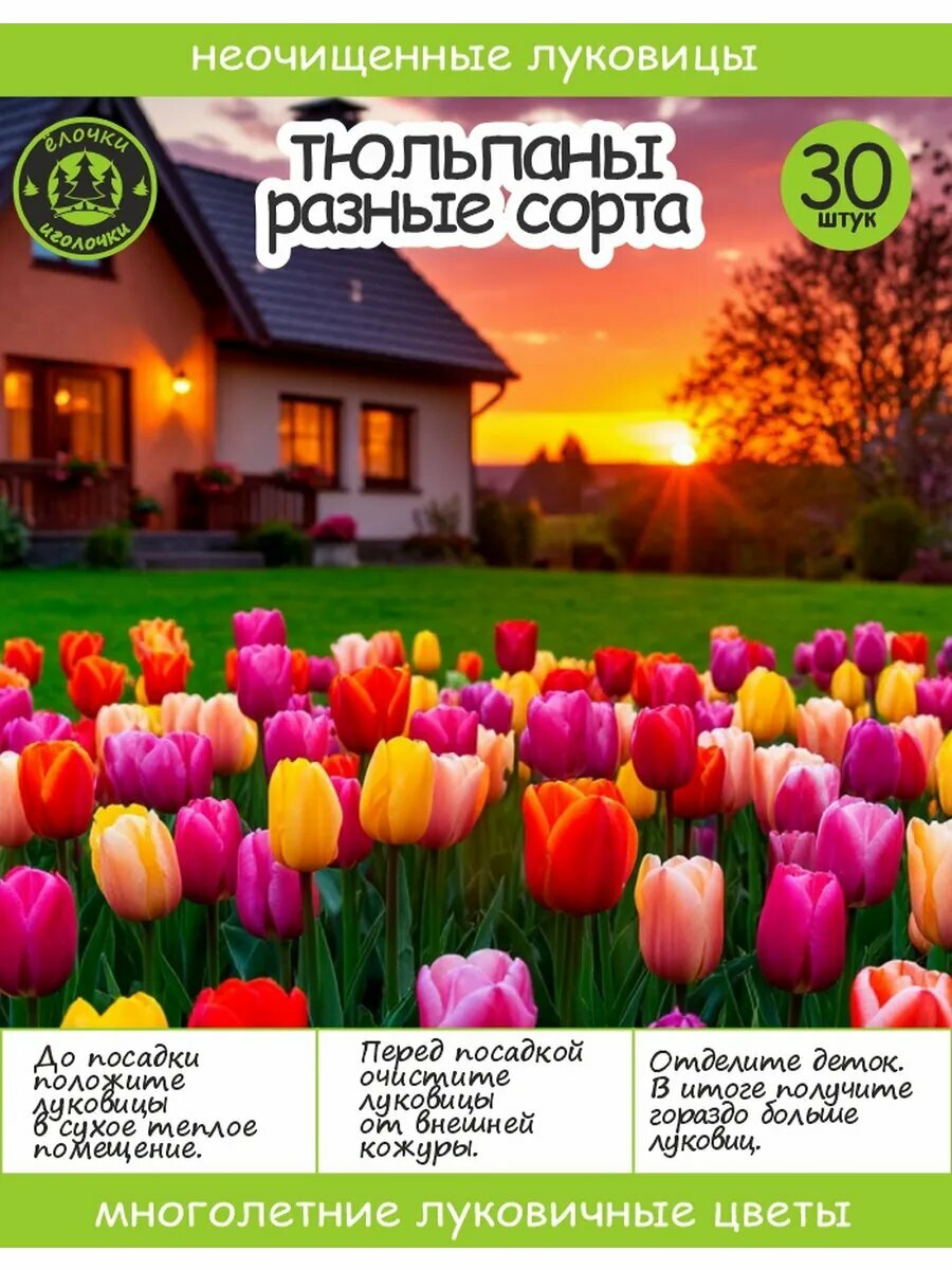 Тюльпан Луковицы, Микс сортов, 20шт