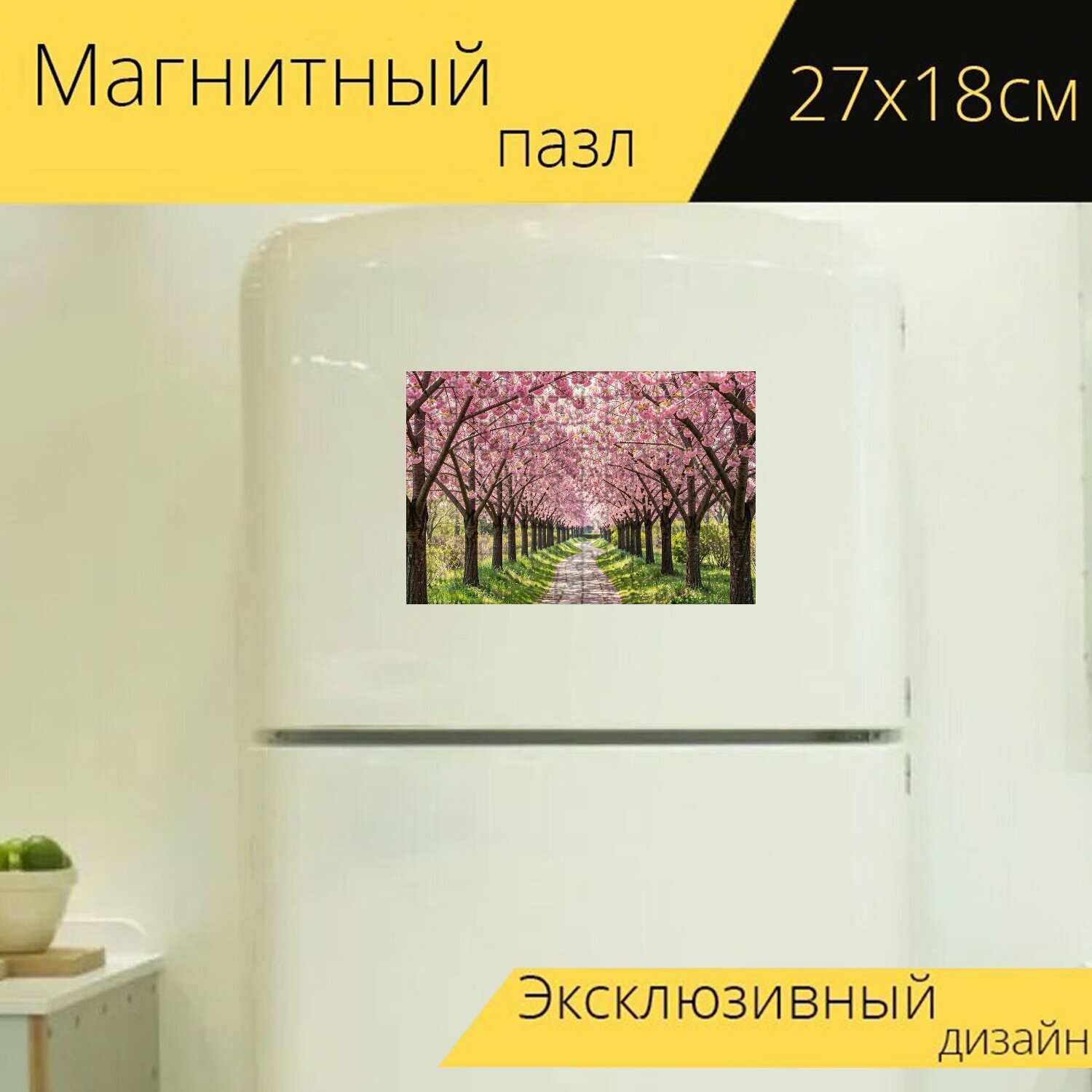 Магнитный пазл "Аллея цветущих сакур. Весенняя парковая дорожка под сводом нежно-розовых цветущих деревьев, зелёная трава, мягкий солнечный свет." на холодильник 27 x 18 см.