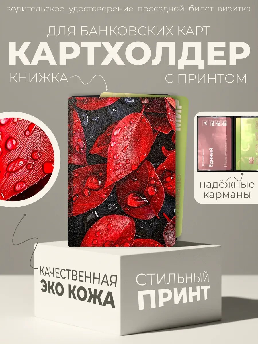 Картхолдер