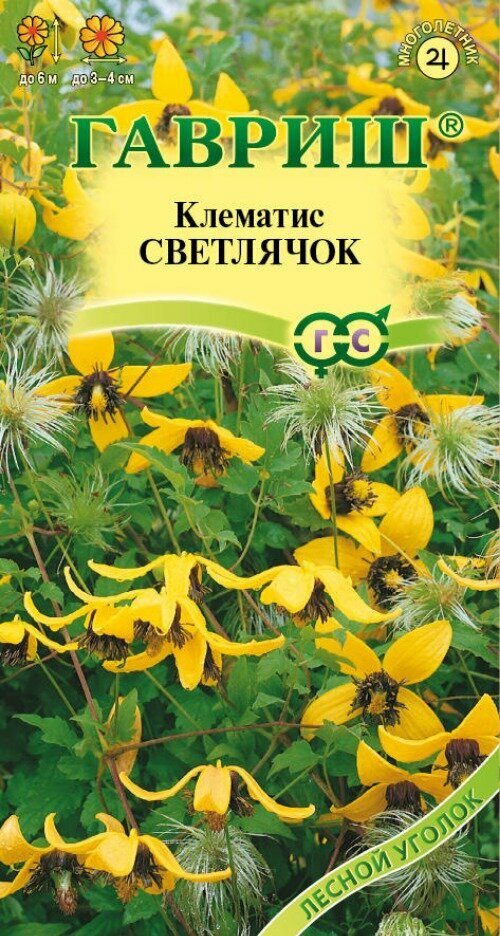 Семена клемантиса Гавриш Светлячок, пильчатолистный, 0.05 г 004970