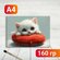 Альбом для рисования Котик