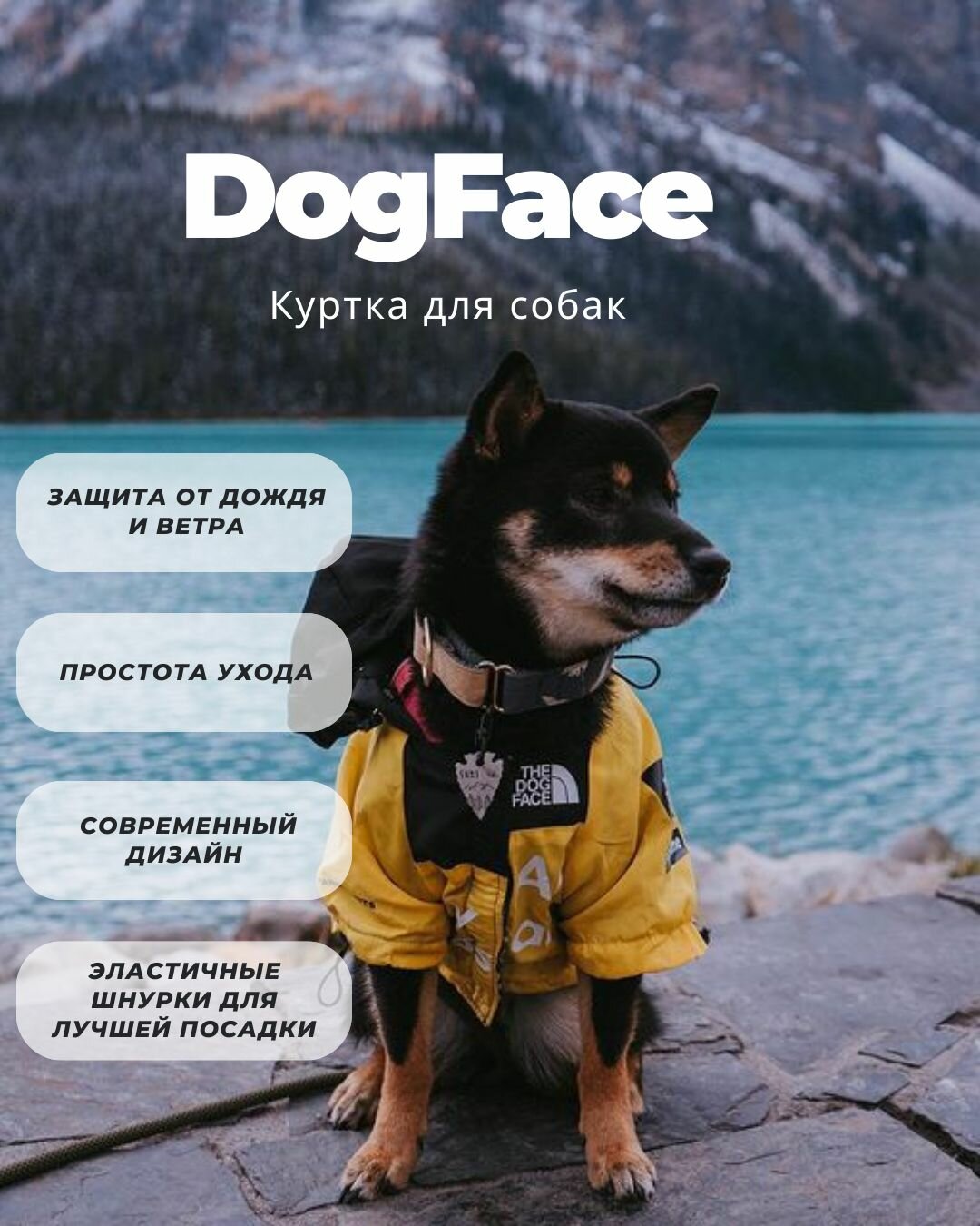 Куртка для собак THE DOG FACE