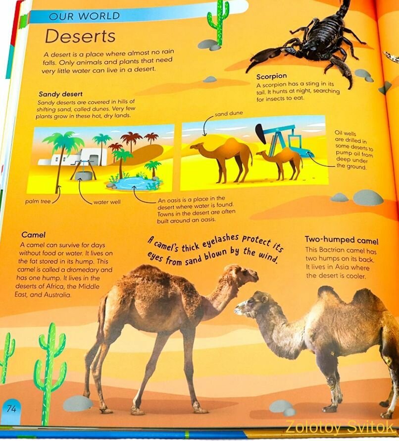 Книга "DK My First Encyclopedia", на английском языке, твердая обложка — фото 1