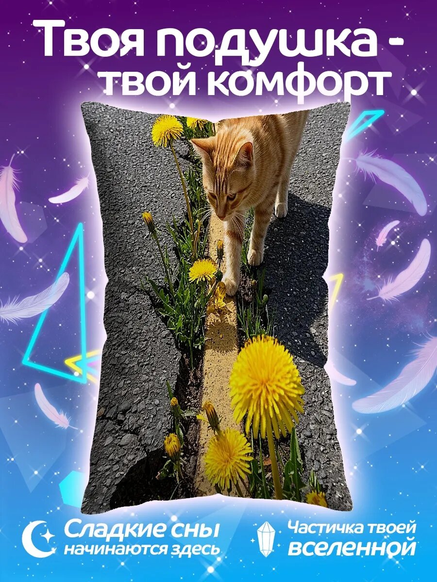 Подушка дакимакура Кот и одуванчики