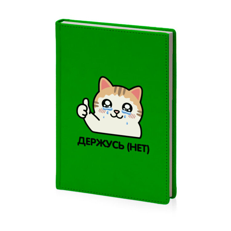 Ежедневник «со смешным плачущим котиком, показывающим лайк» (зеленый)
