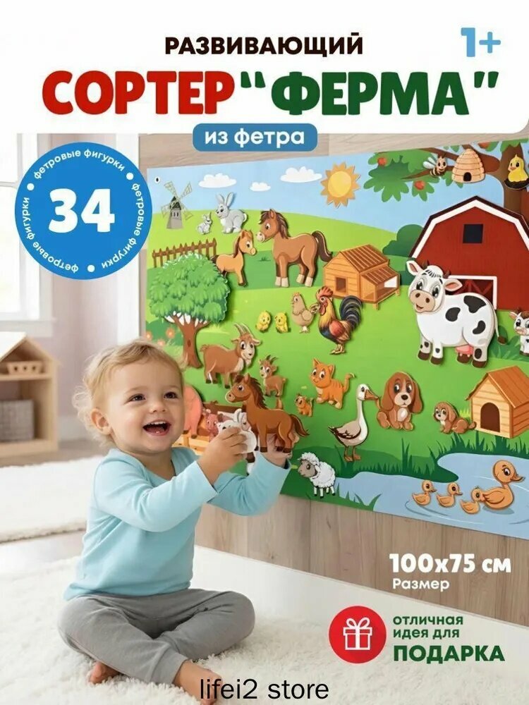 Сортер