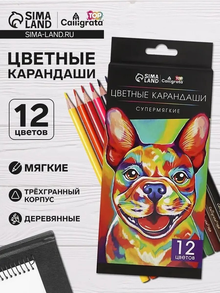 Цветные карандаши для творчества, 12 цветов, 5B