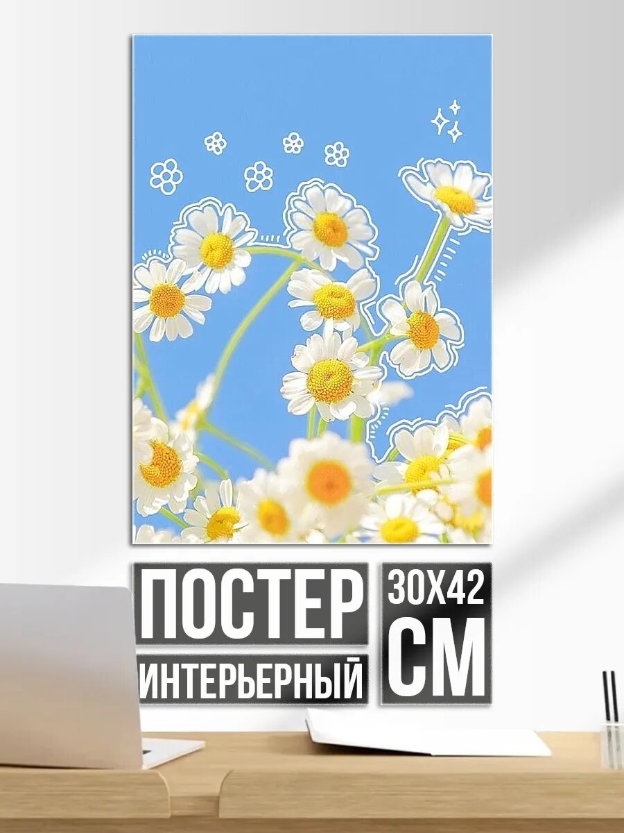 Плакат постер Летнее поле ромашек