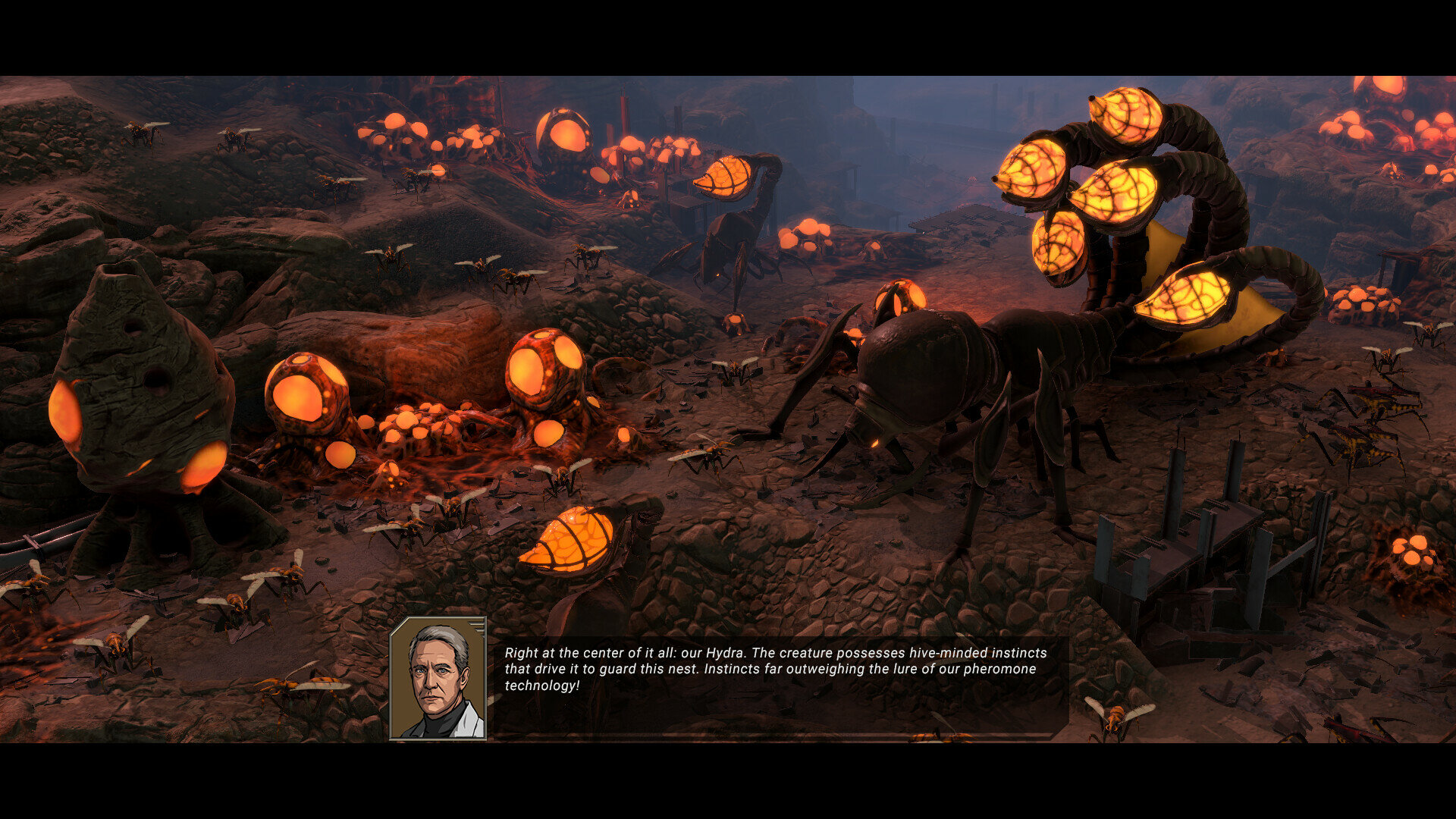Starship Troopers: Terran Command - The Eradicators DLC PC Steam Ключ