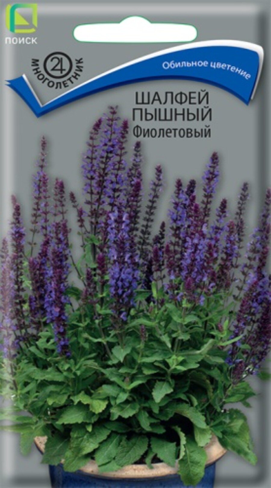 Семена Шалфей пышный Фиолетовый (0,1 г), Агрофирма Поиск, многолетник