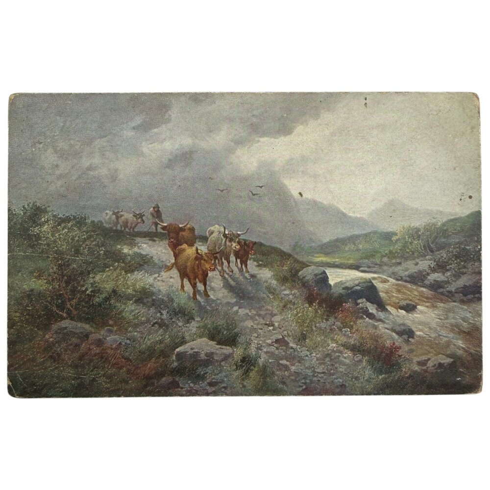 Почтовая открытка "Перегон стада" 1900-1915 гг. Германская Империя