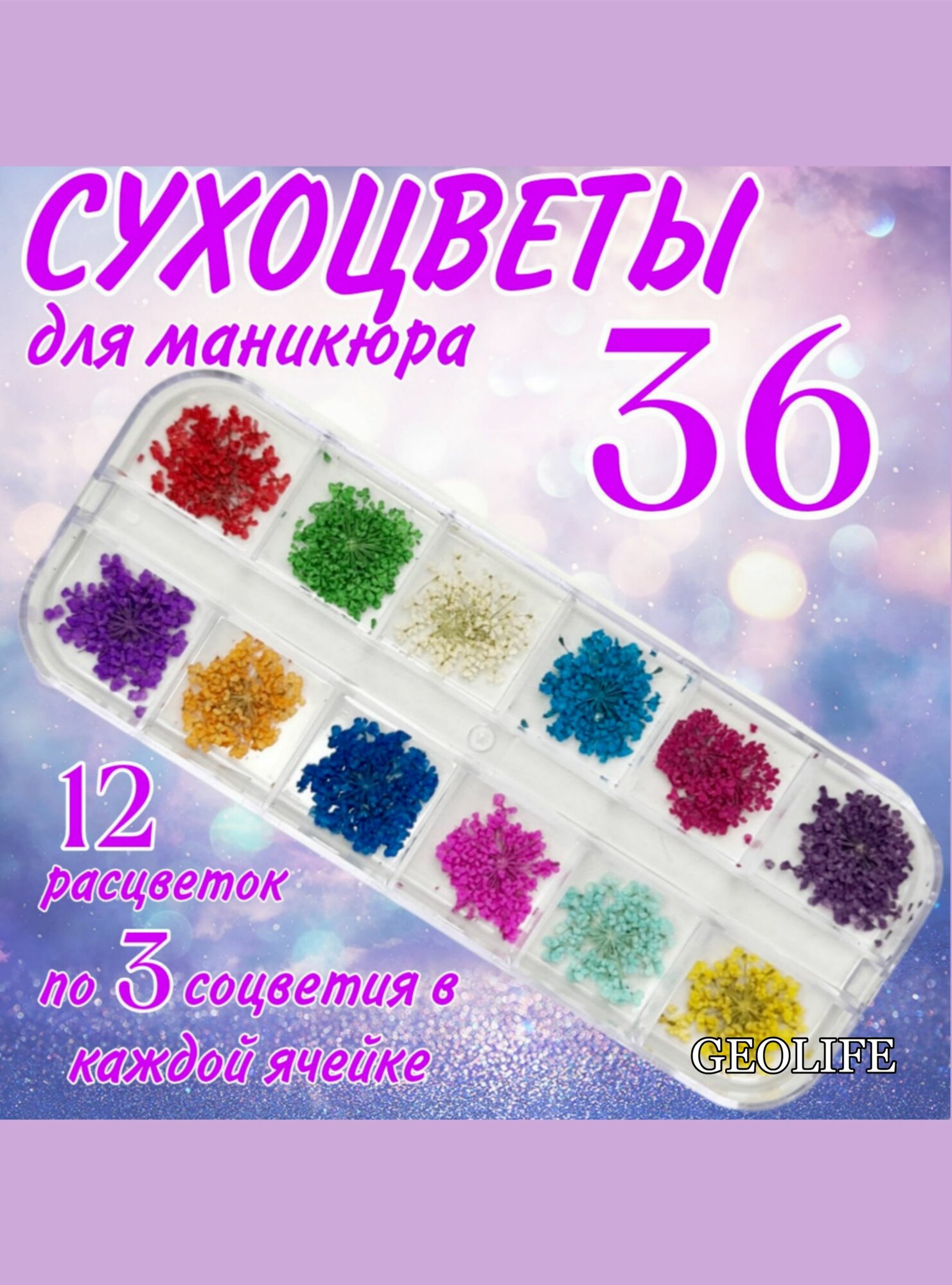 Сухоцветы для дизайна ногтей D 1-2 см. + пластиковый кейс, 36 шт. соцветий, набор 12 расцветок.
