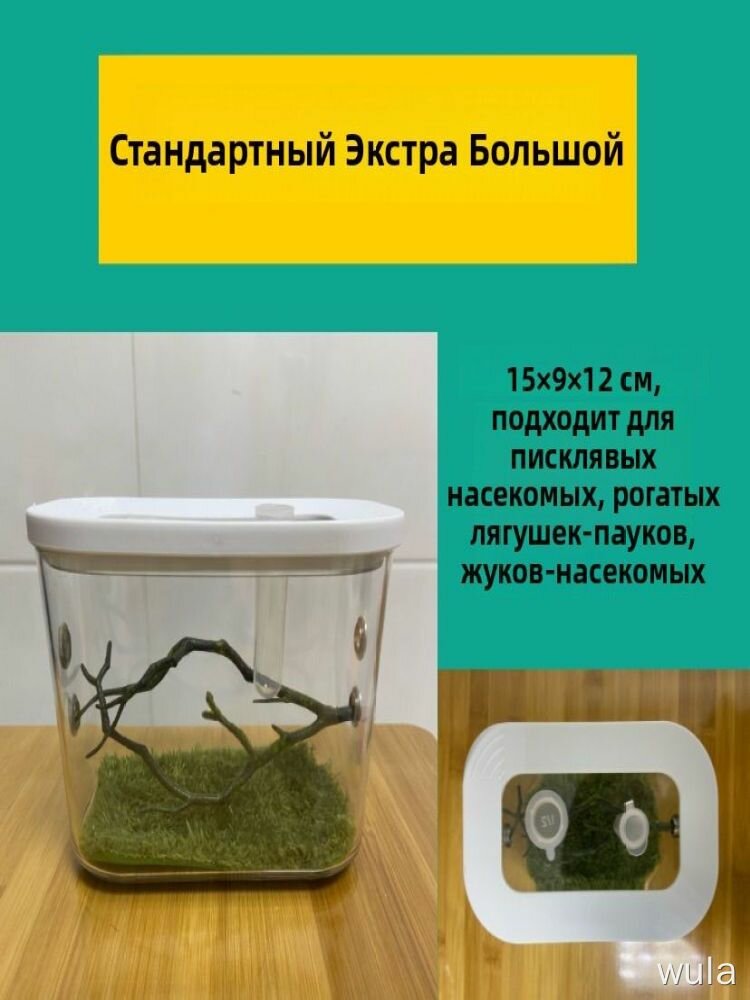 Экстра большой wula прозрачный 15×9×12 см для пчелиных насекомых, рогатых лягушек-пауков и жуков-насекомых