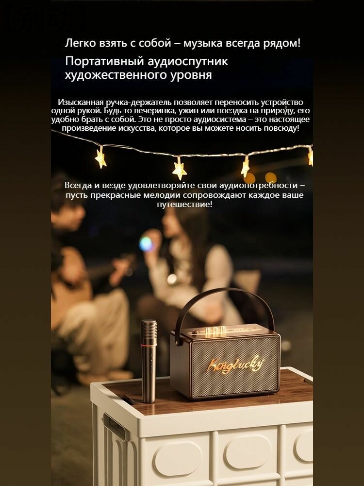Караокесистема премиум — фото 1