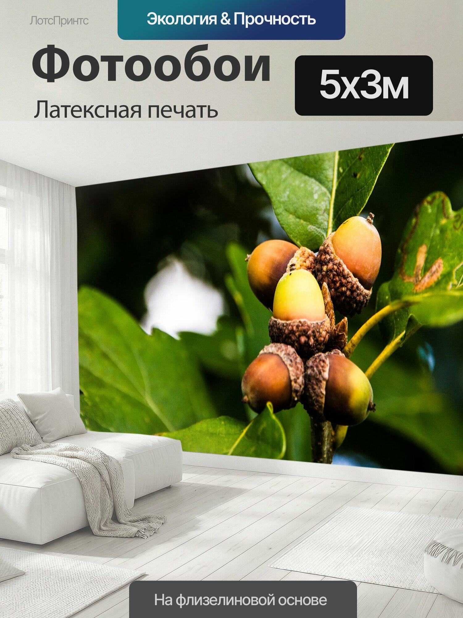 Фотообои моющиеся ударопрочные "Желуди, дуб, дубовые листья" 500x300 см. латексная печать