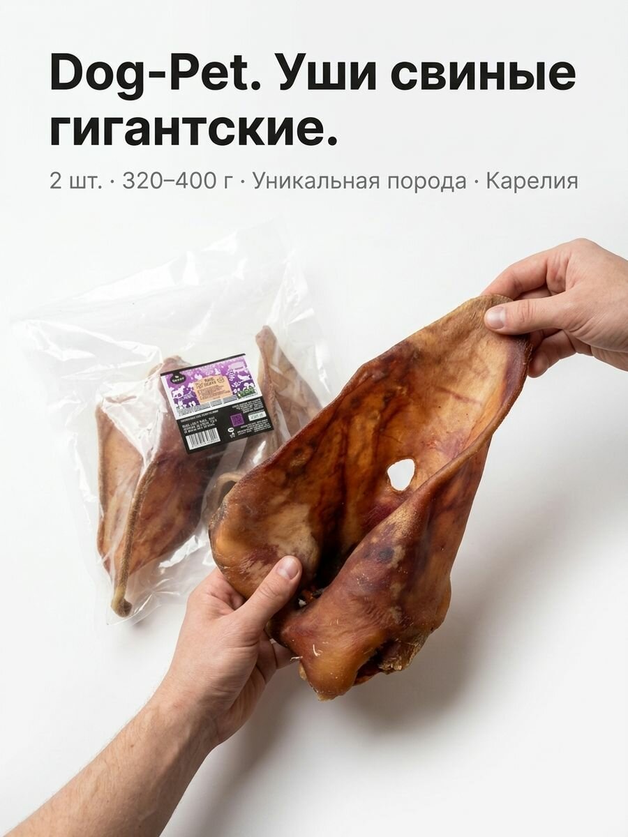 Уши свиные гигантские для собак Dog-Pet 2 шт. Натуральное лакомство 320 - 400 г С мясом, без запаха Для всех пород с 3 месяцев Карелия свиные уши с мясом карельские уши натуральное лакомство без запаха