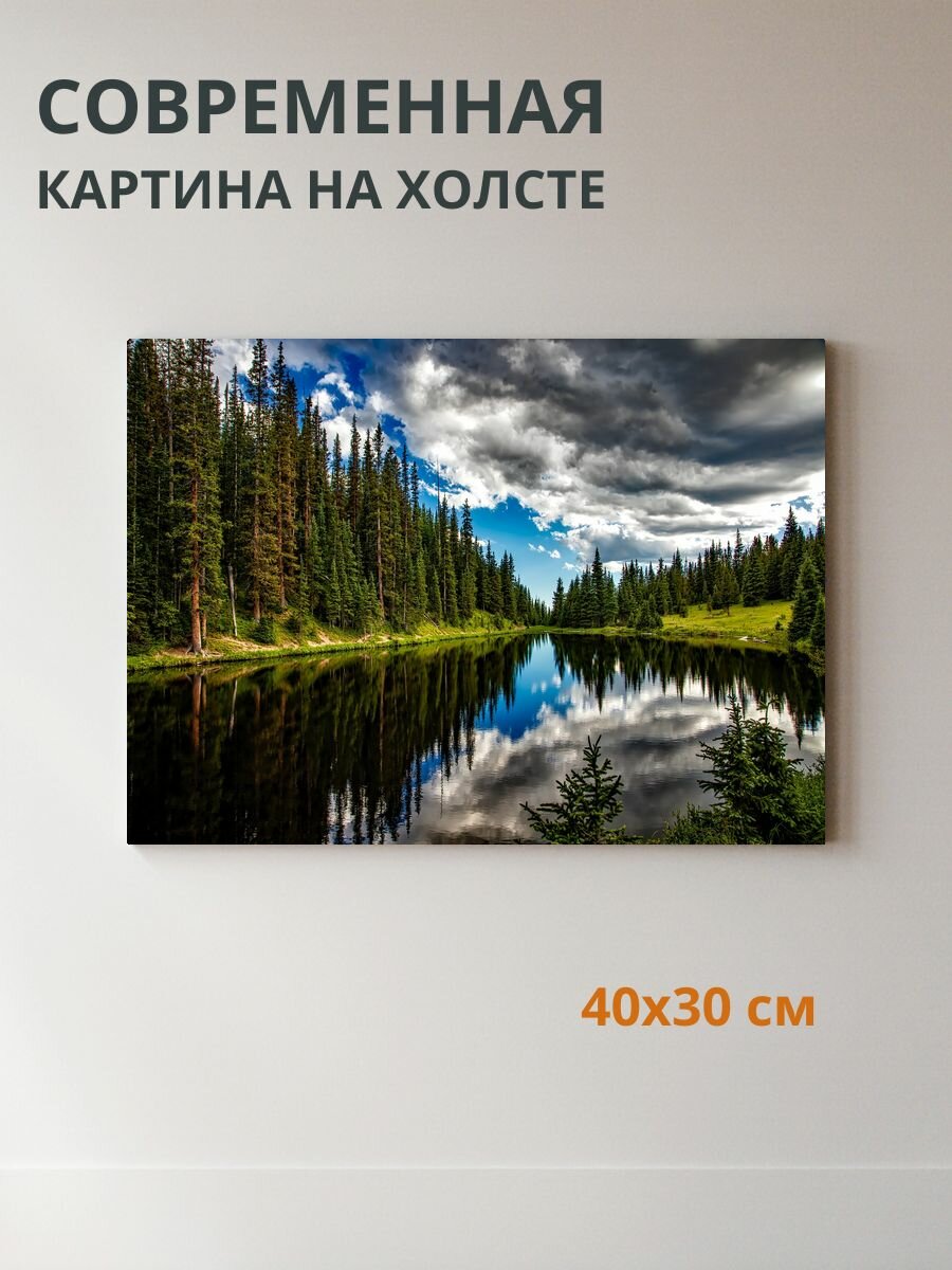 Картина на холсте Озеро и лес 40x30 см