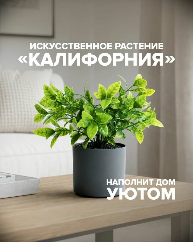 Искусственное растение "Калифорния" элемент декора, не требующий ухода для уютного украшения дома или офиса