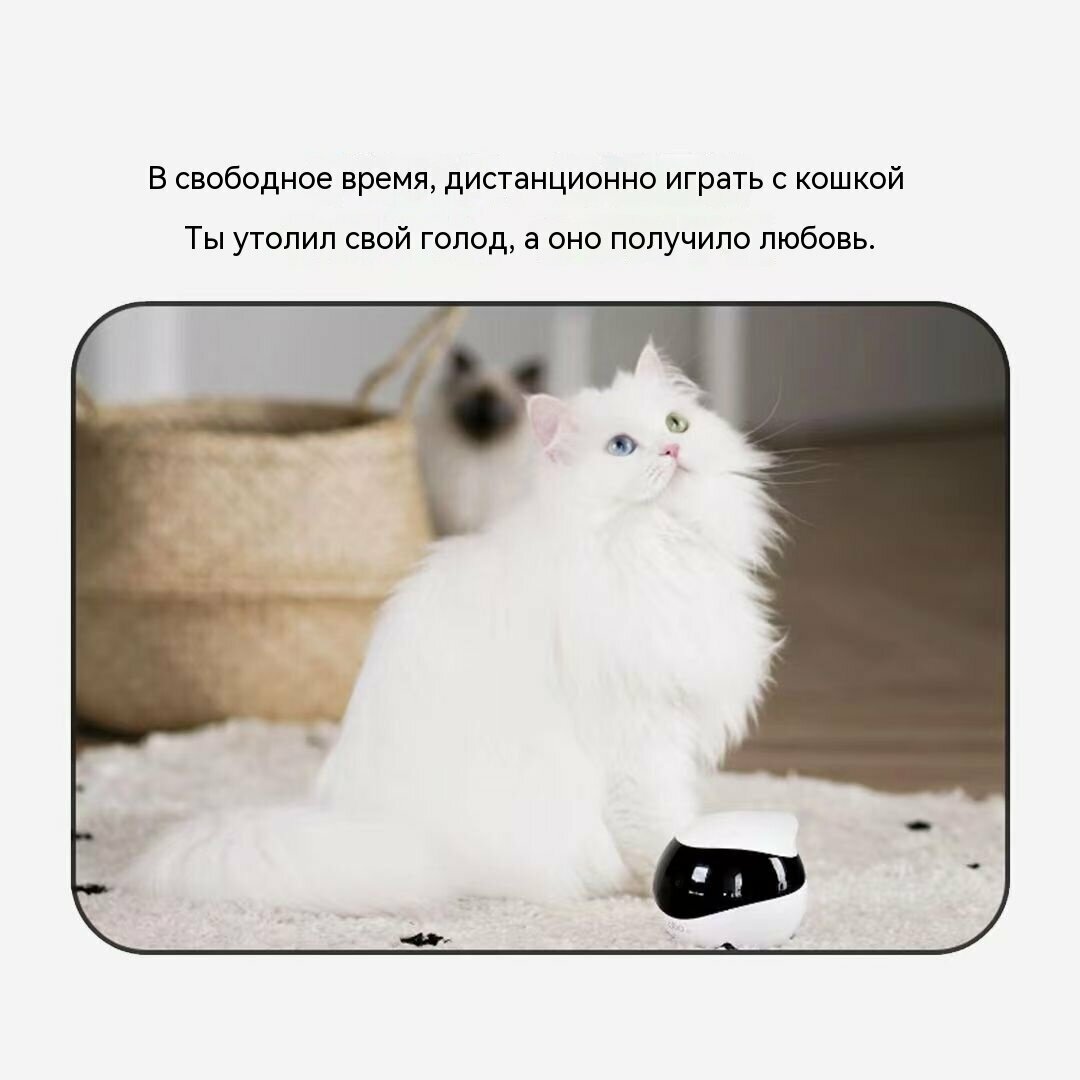 Робот-помощник EBO SOLUTION EBOSE, с камерой FULL HD, картой памяти, двухсторонней связью