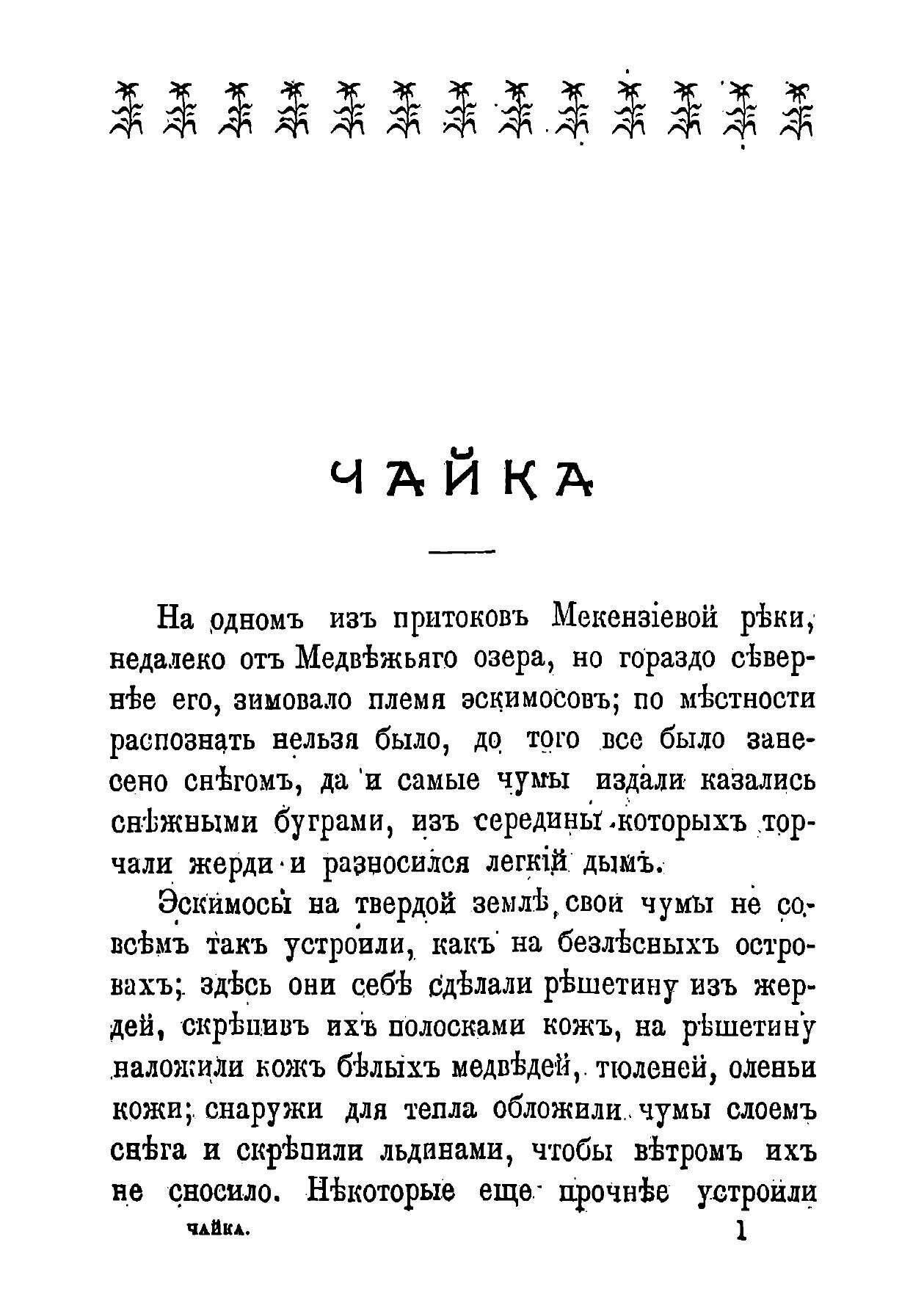 Чайка — фото 1