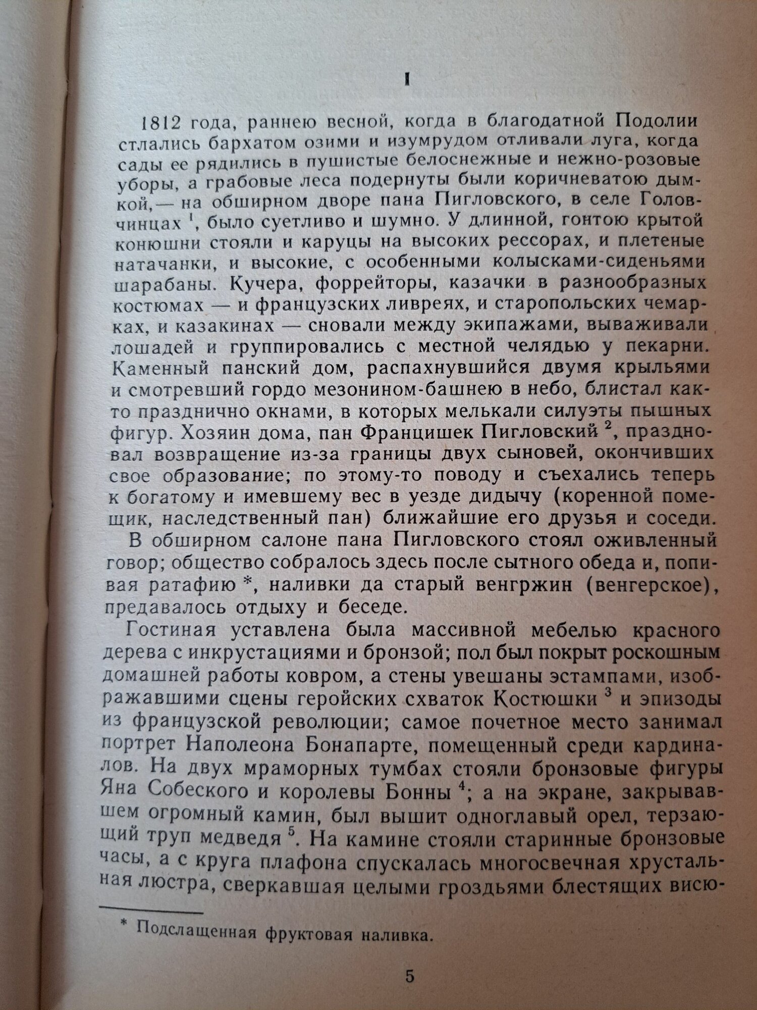 Разбойник Кармелюк — фото 1