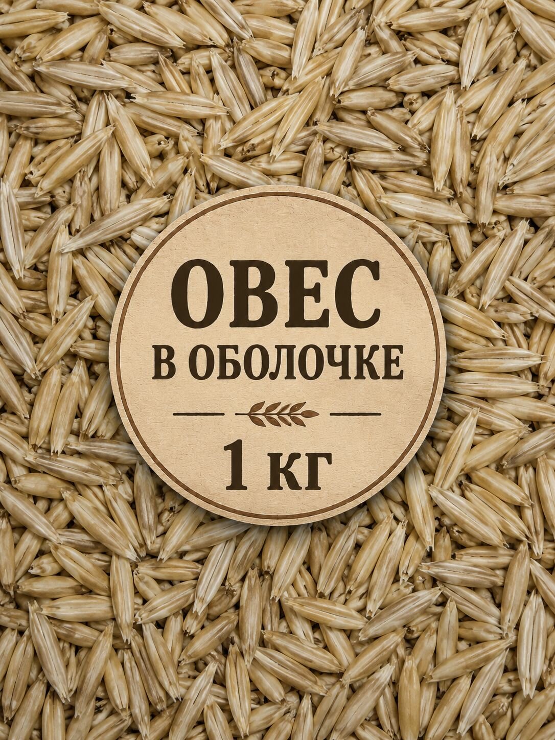 Овес (в оболочке) для заваривания и проращивания, Микрозелень для проращивания, 1 кг