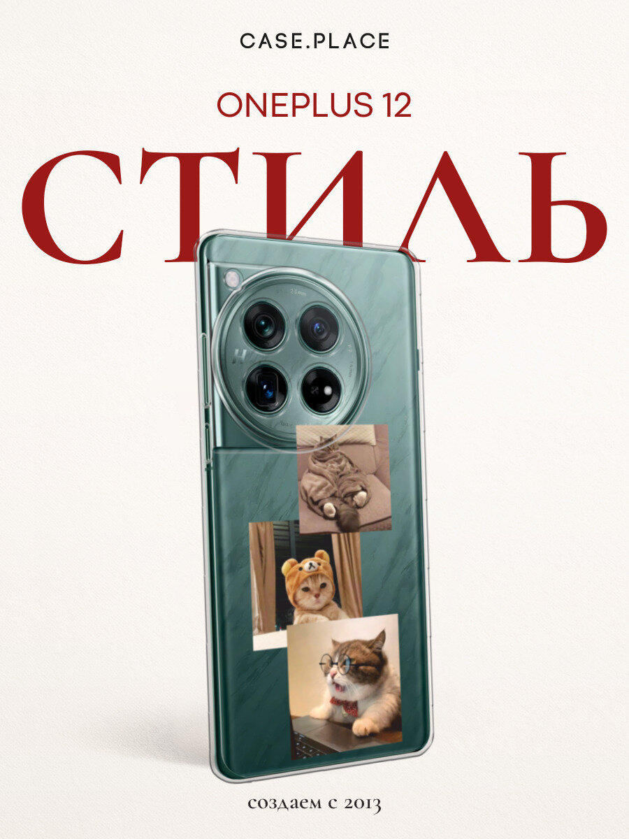 Чехол на OnePlus 12 / Ван Плас 12 с принтом Домашние коты, прозрачный