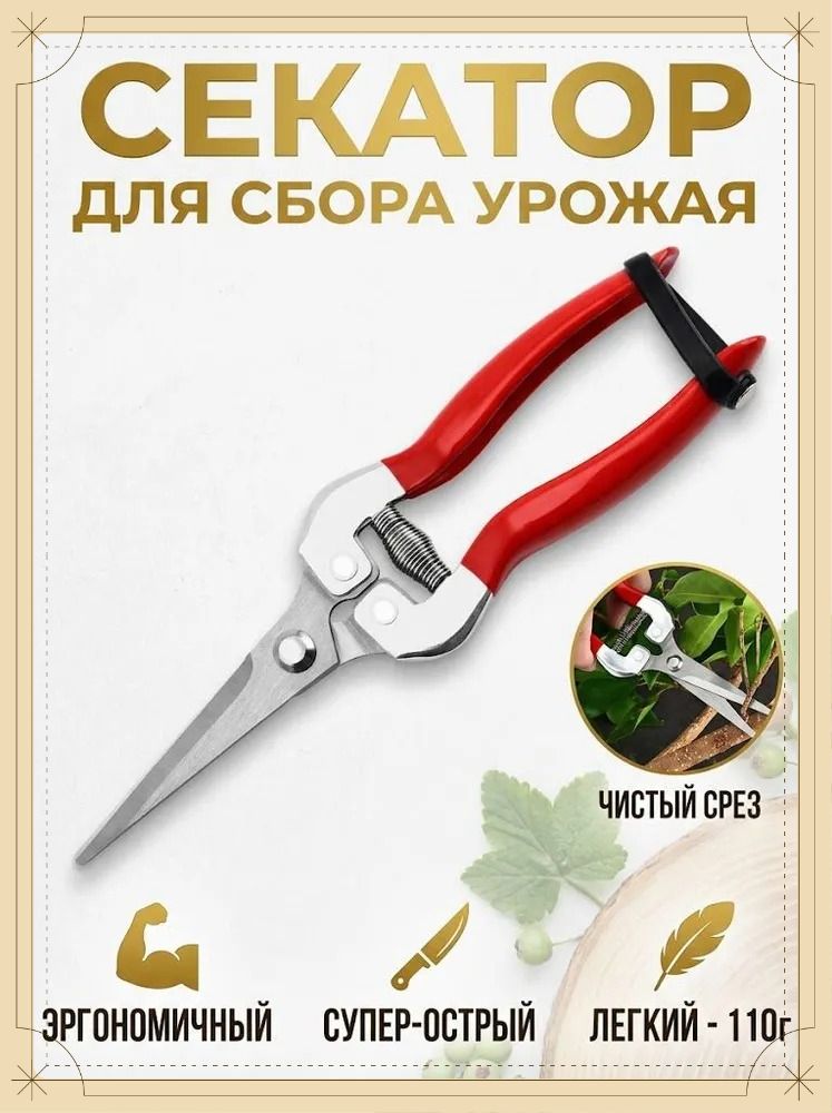 Секатор