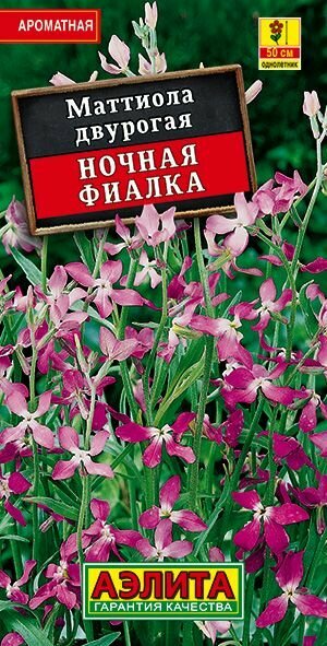 Семена Маттиола Ночная фиалка, 0,5 г, Агрофирма семена маттиола ночная фиалка маттиола двурогая