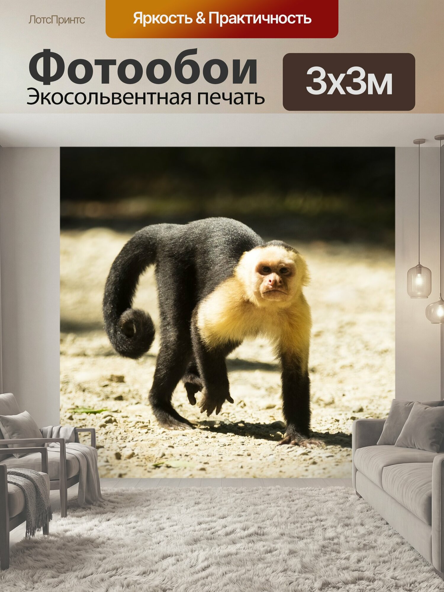 Фотообои "Коста рика, обезьяна, дикий" 300x300 см. экосольвентная печать