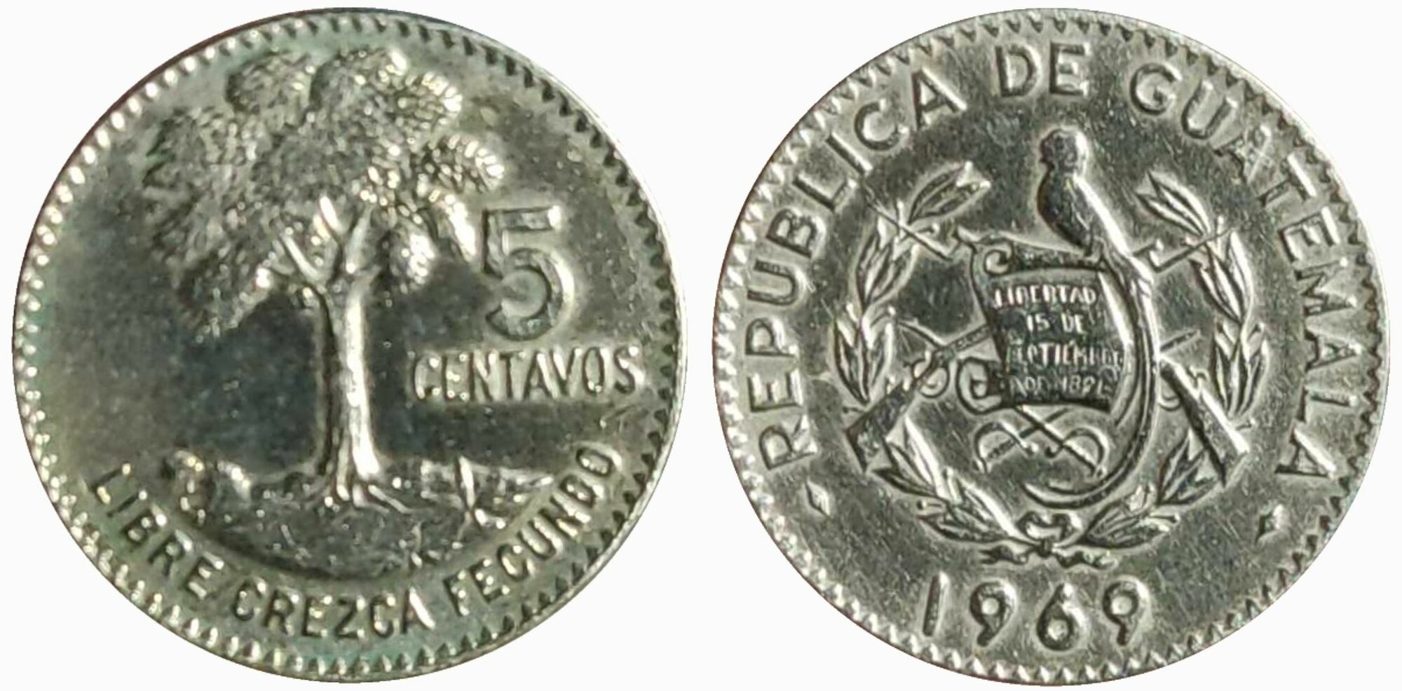 Гватемала 5 сентаво, 1965 - 1970 Герб XF