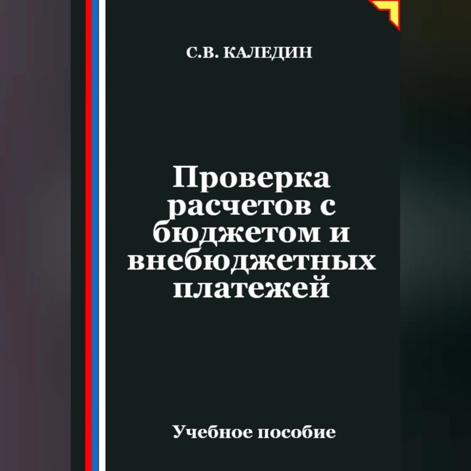Проверка расчетов с бюджетом и внебюджетных платежей [Аудиокнига]