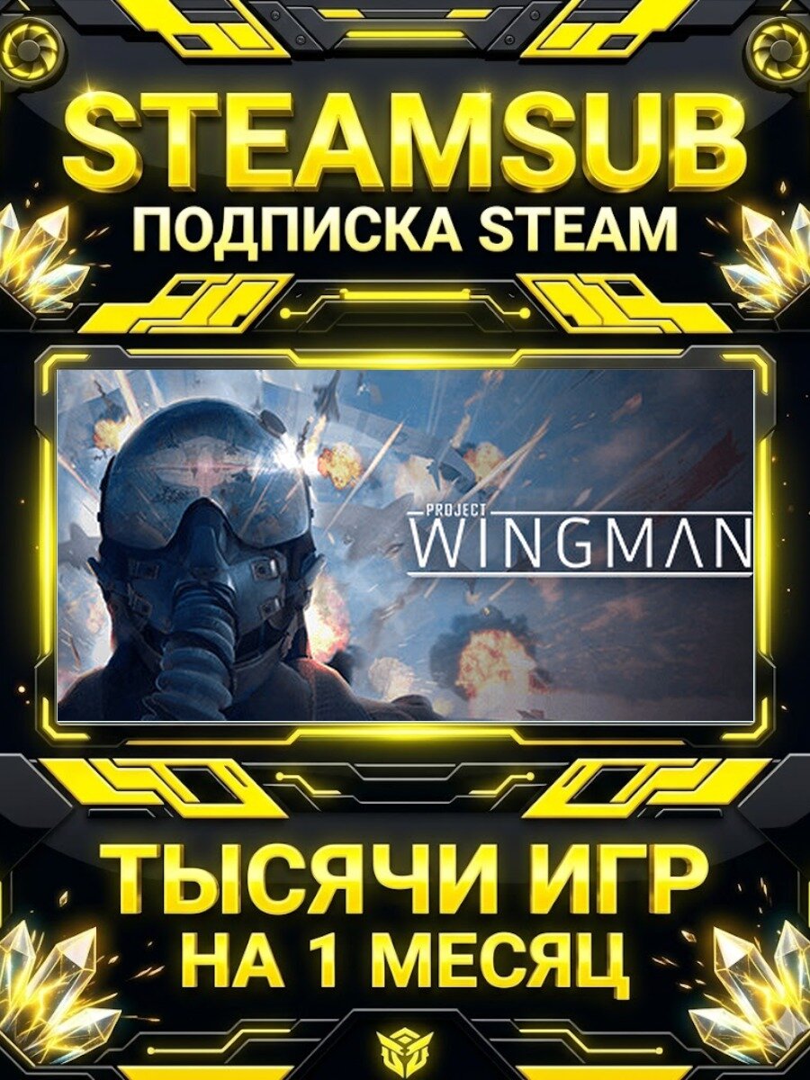 Project Wingman — подписка Steam на месяц, 7000+ игр на аккаунтах для ПК (РФ + СНГ)