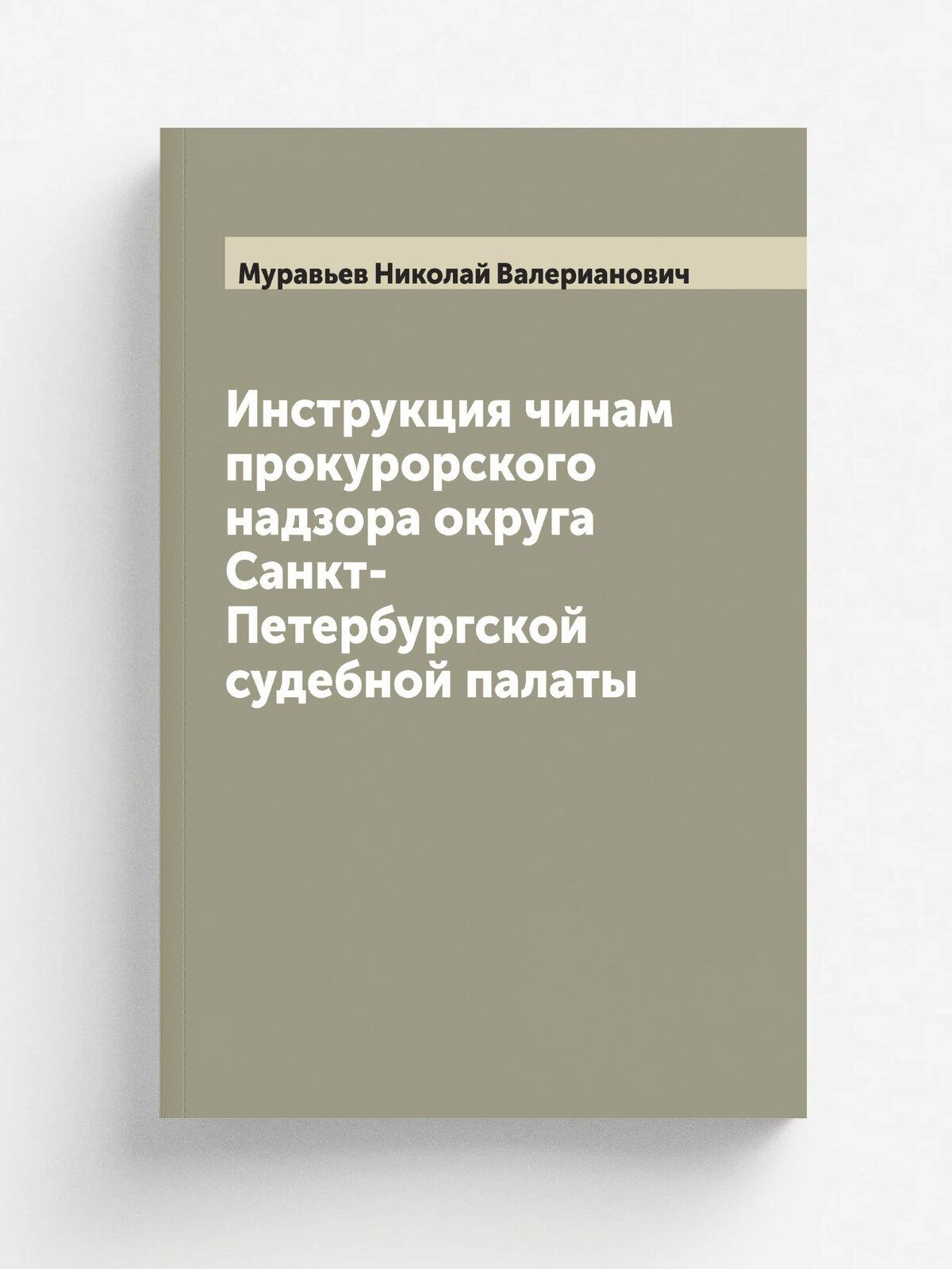 Инструкция чинам прокурорского надзора округа Санкт-Петербургской судебной палаты