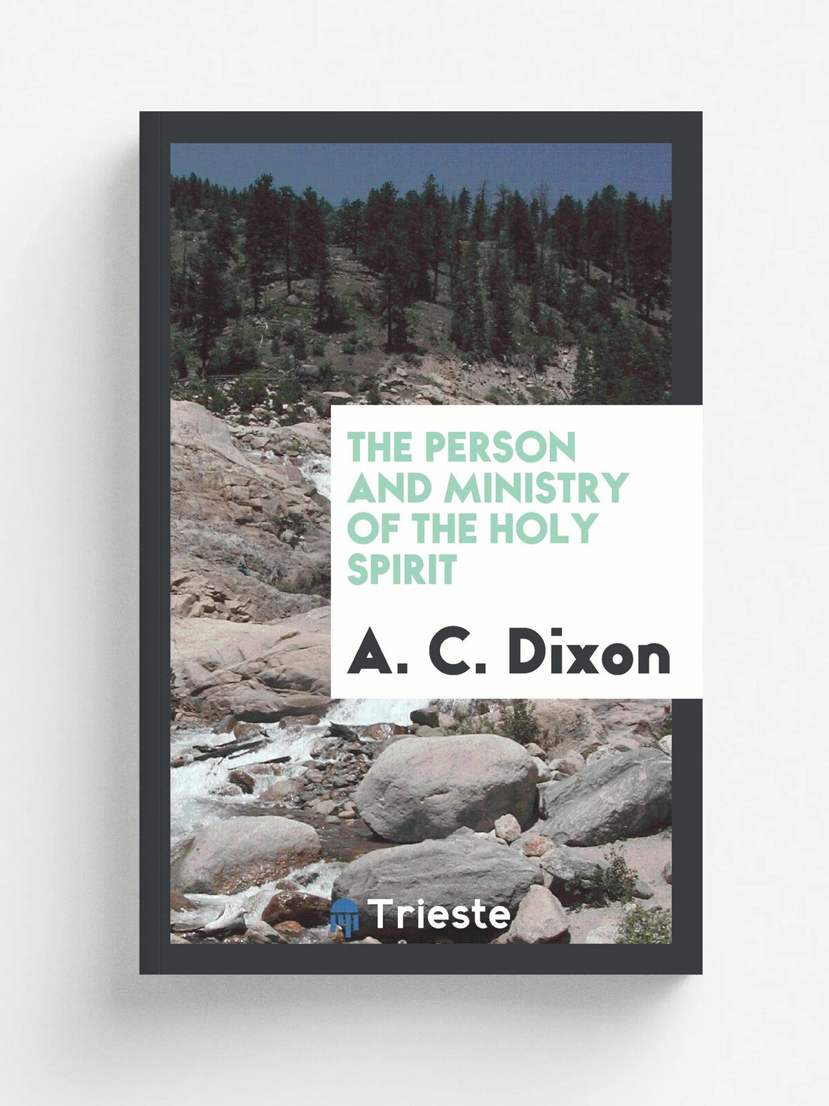 The person and ministry of the Holy Spirit
