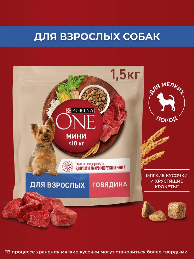 Сухой корм для собак Purina ONE мини для мелких и карликовых пород, с говядиной и рисом, 1,5 кг 1.5 кг мелкие породы карликовые породы