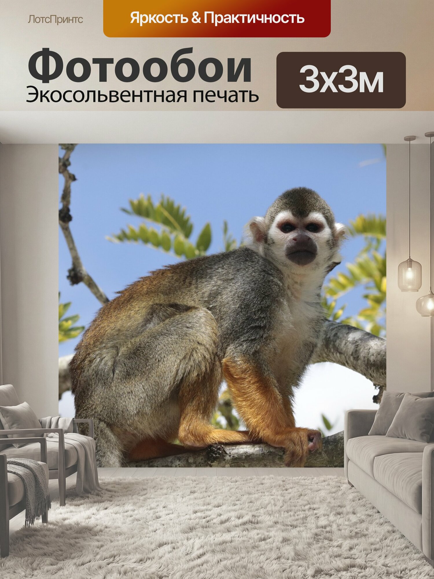 Фотообои "Обезьяна белочка, саймири, животные" 300x300 см. экосольвентная печать