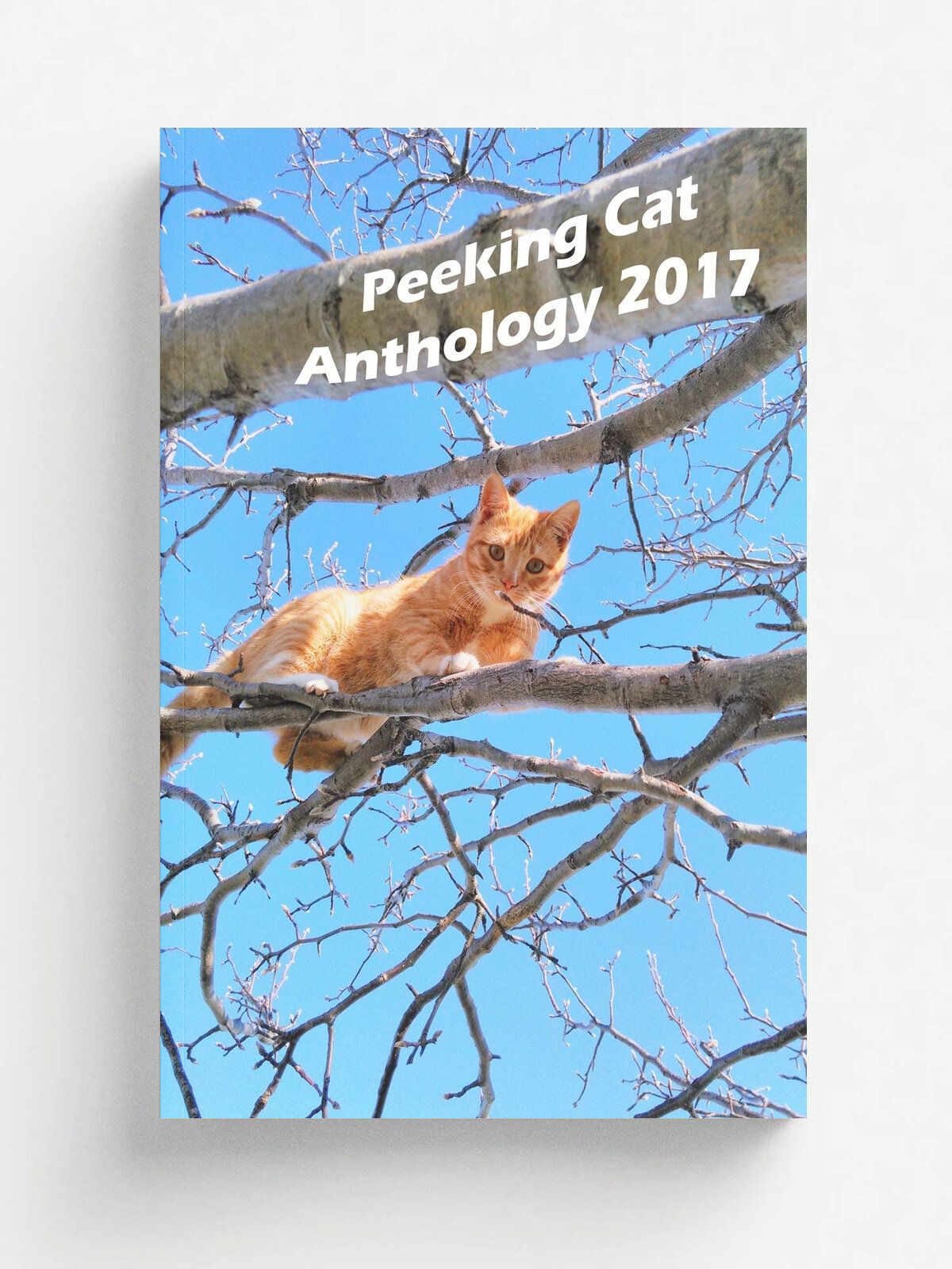Peeking Cat Anthology 2017