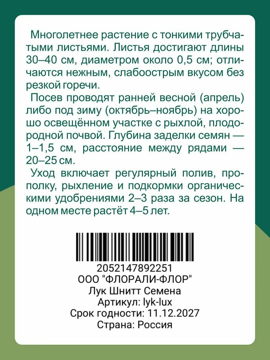 Лук Шнитт Семена — фото 1