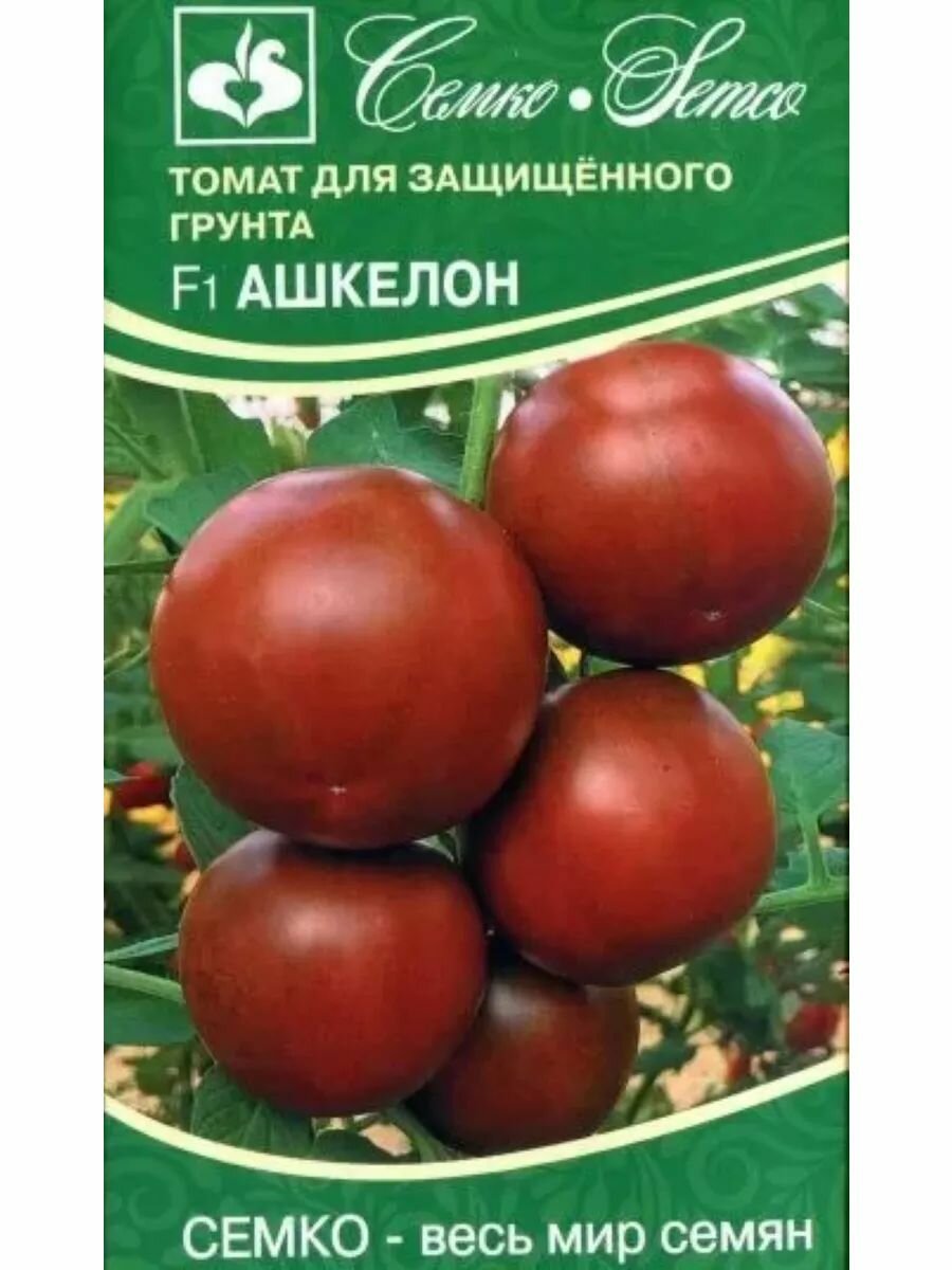 Томат Ашкелон F1,5 семян