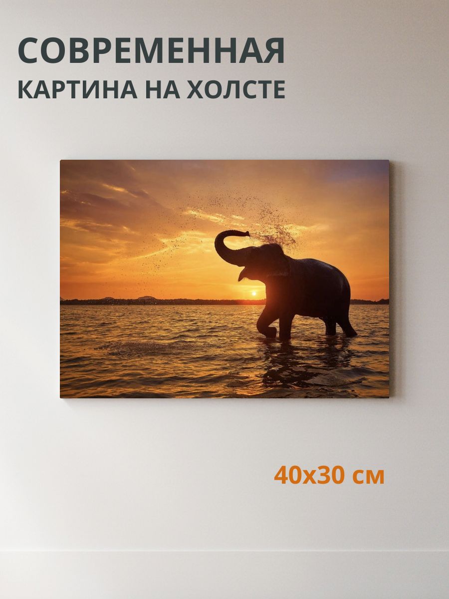 Картина на холсте Слон 40x30 см