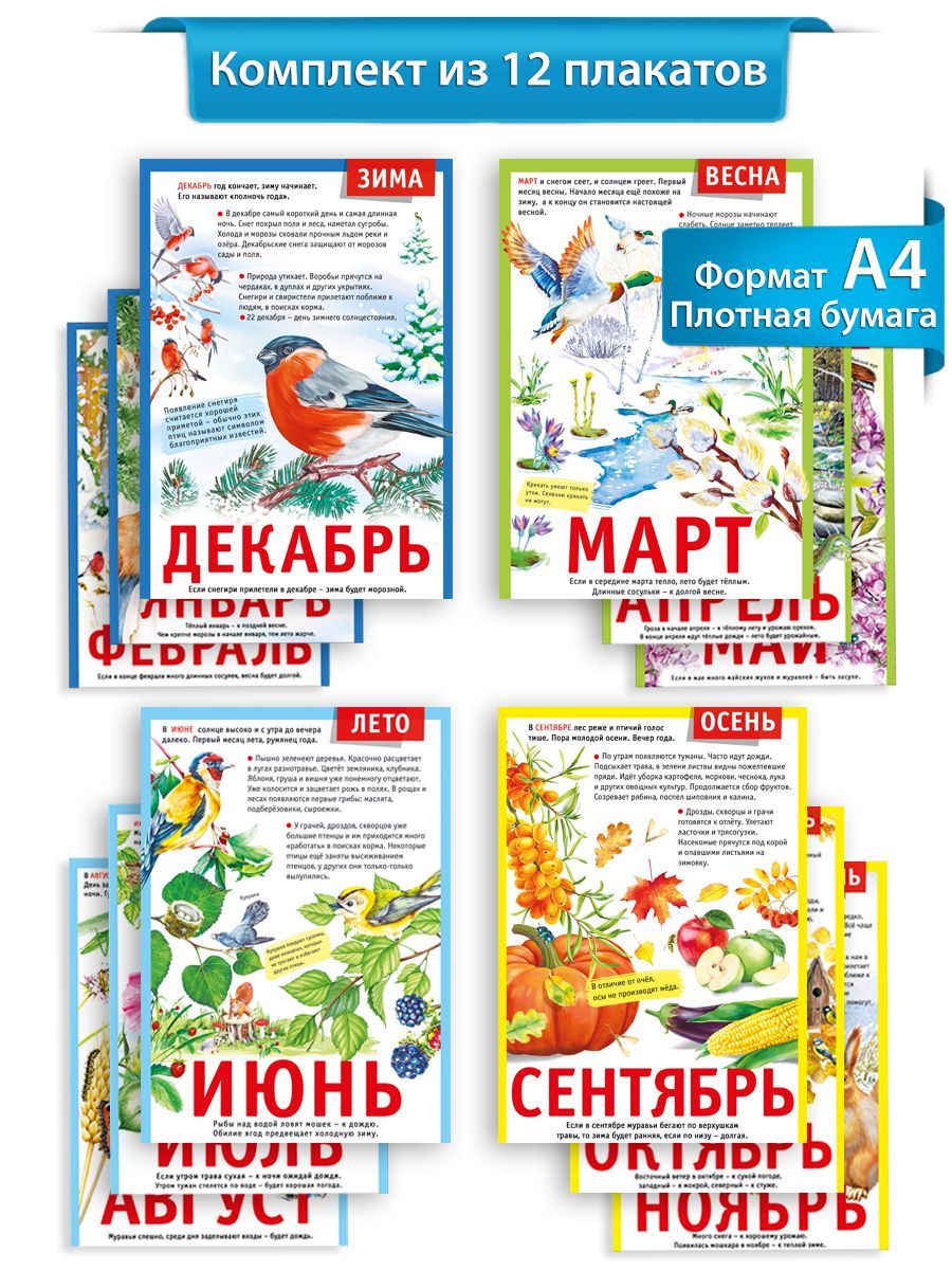 Обучающие плакаты 12 месяцев в уголок природы времена года А4
